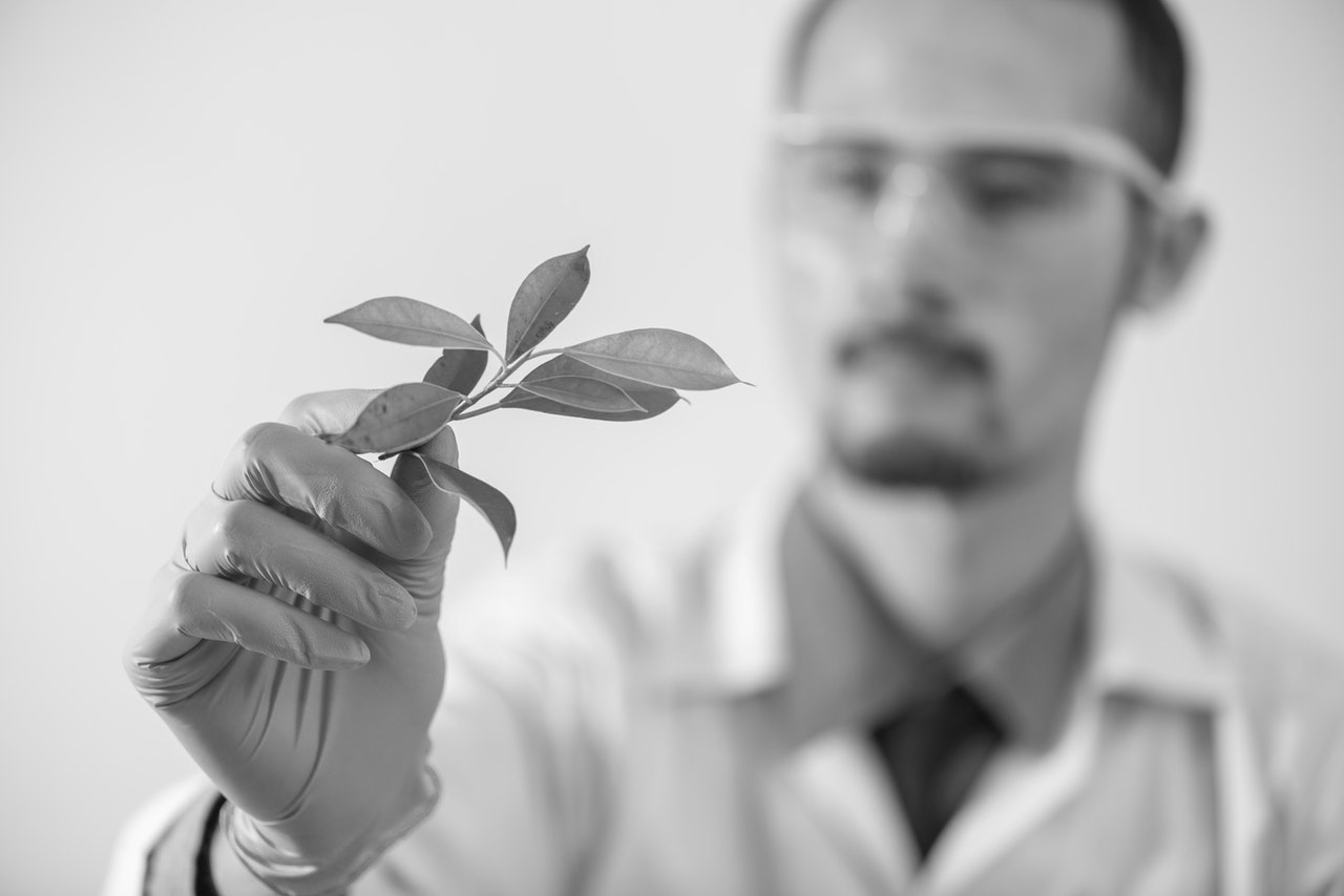 Media & science: much in common, many differences – Media guide